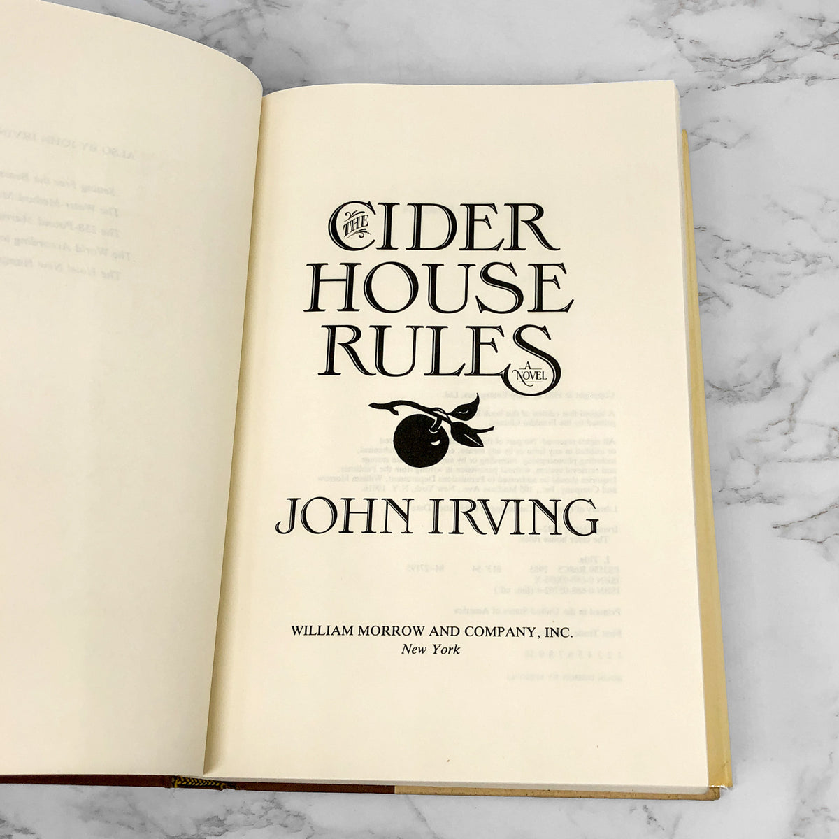 The Cider House Rules by John Irving [FIRST EDITION / FIRST PRINTING]