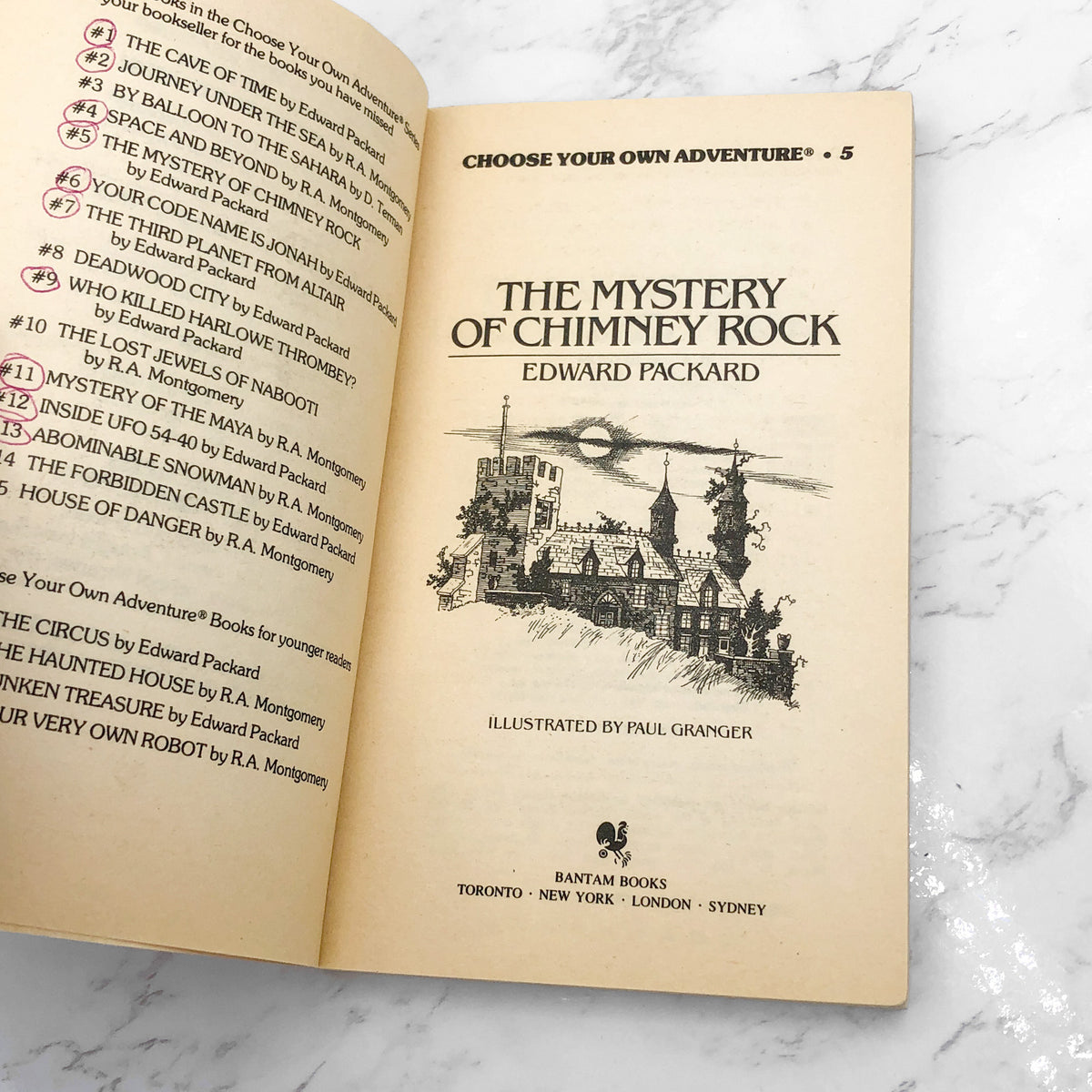 The Mystery of Chimney Rock by Edward Packard [1982 PAPERBACK] Choose