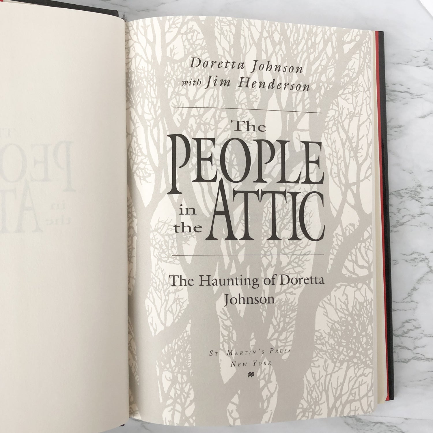 The People in the Attic: The Haunting of Doretta Johnson [FIRST EDITIO ...